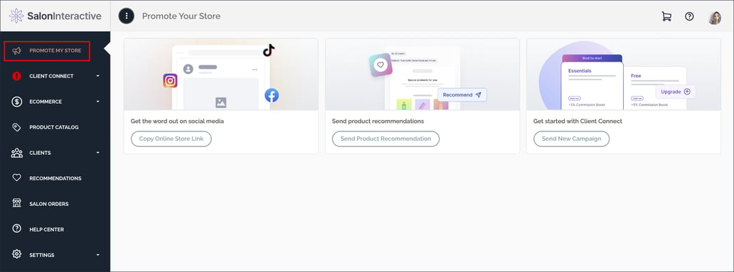 How do I find my Online Store link?