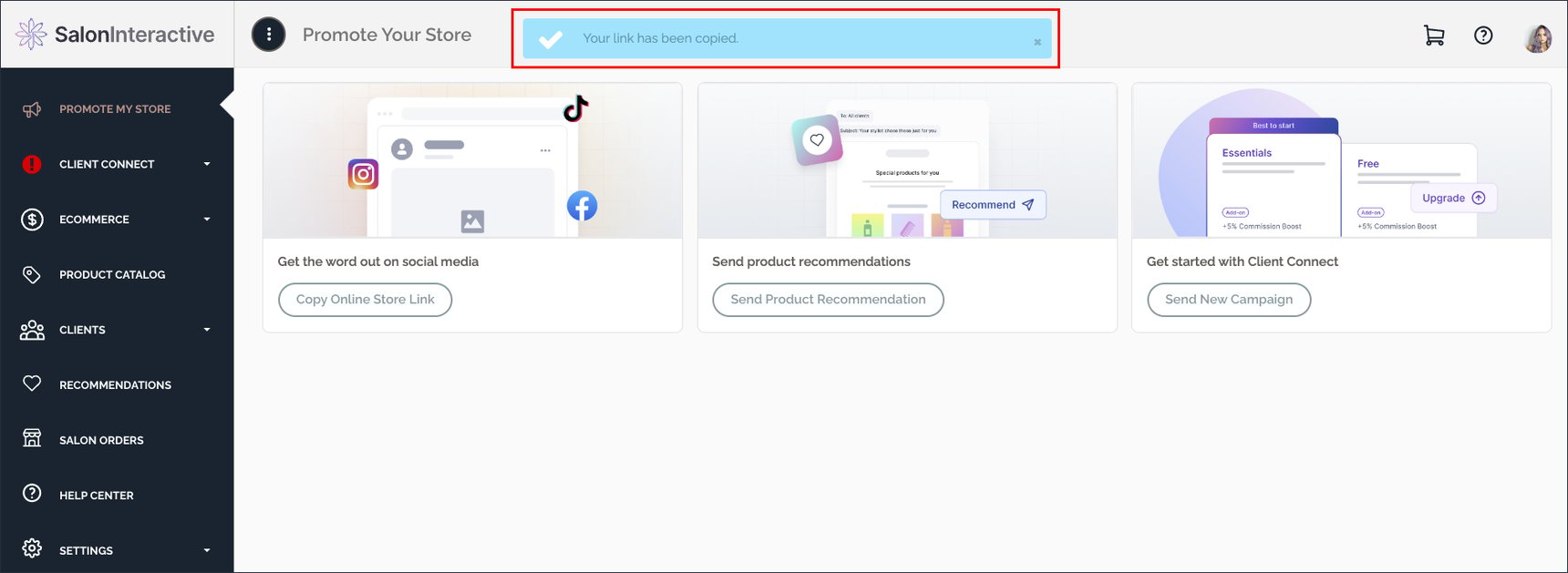 How do I find my Online Store link?